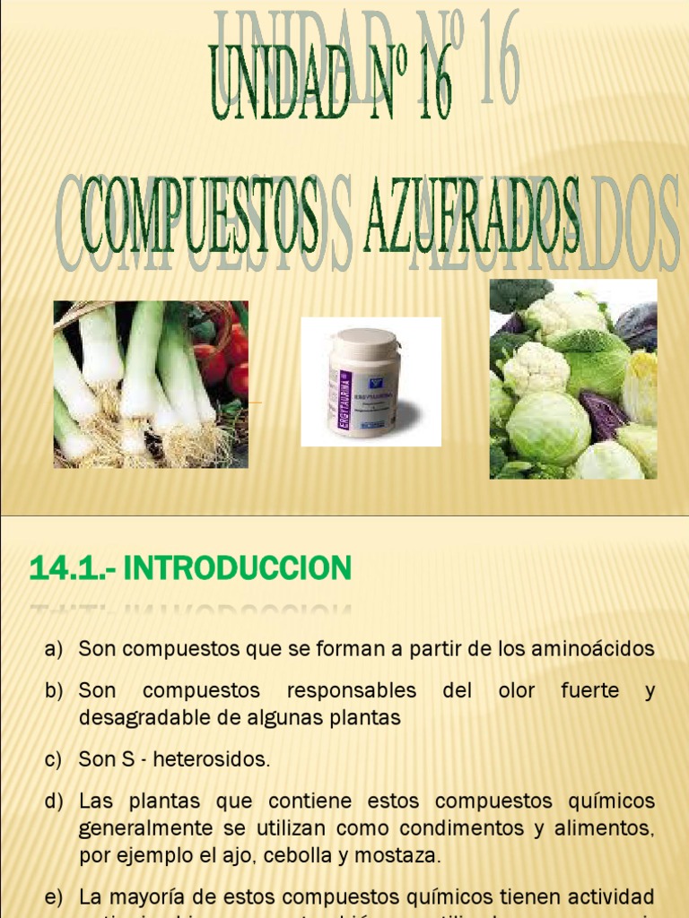 Compuestos Azufrados | PDF | Ajo | Brócoli