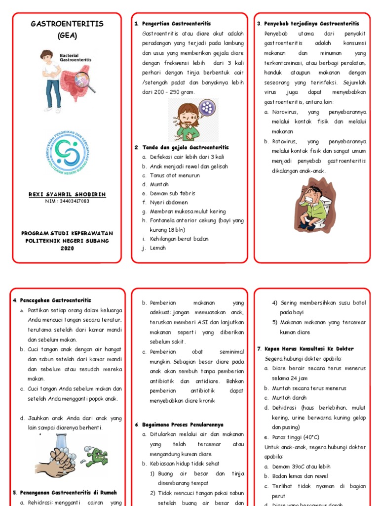 Leaflet Gastroenteritis | PDF