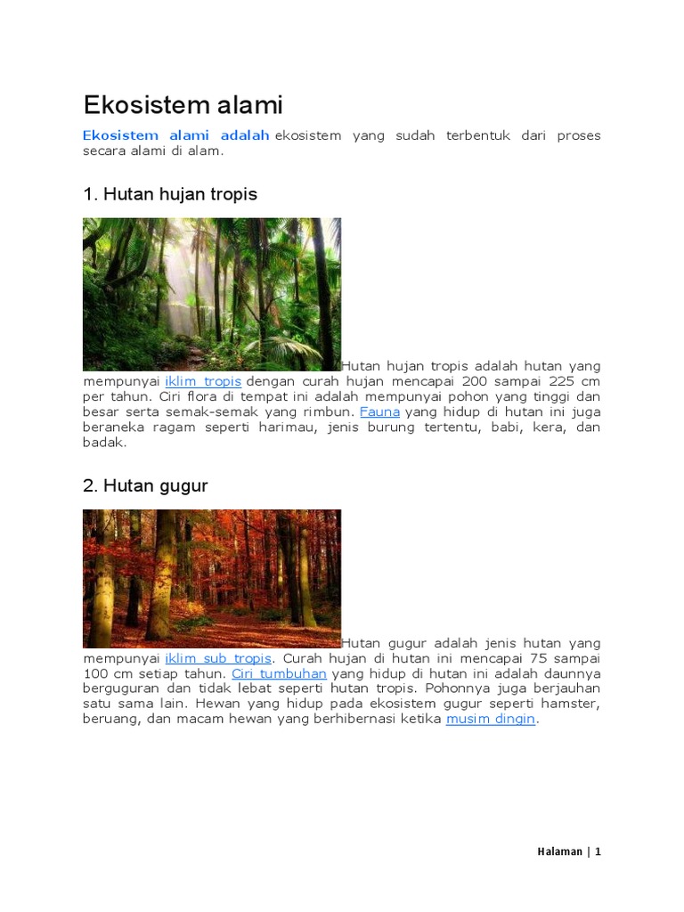 Taman Safari: Ekosistem Alami atau Buatan? | PDF | Griya & Taman ...
