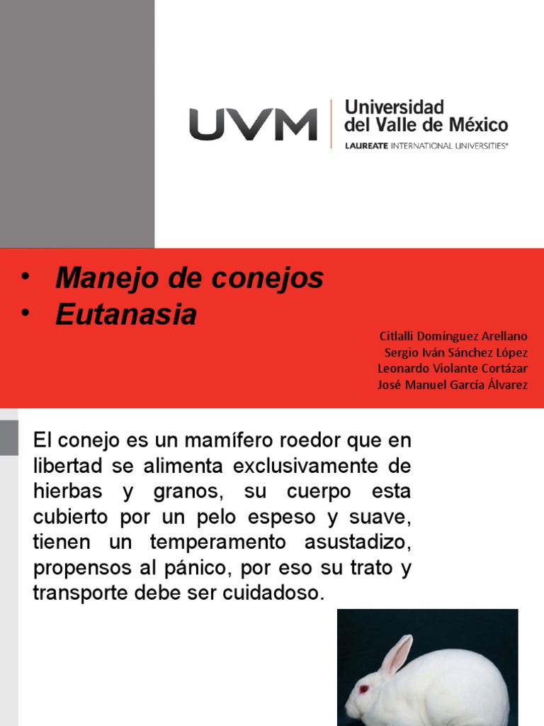 Manejo de Conejos | PDF | Anestesia | Agua
