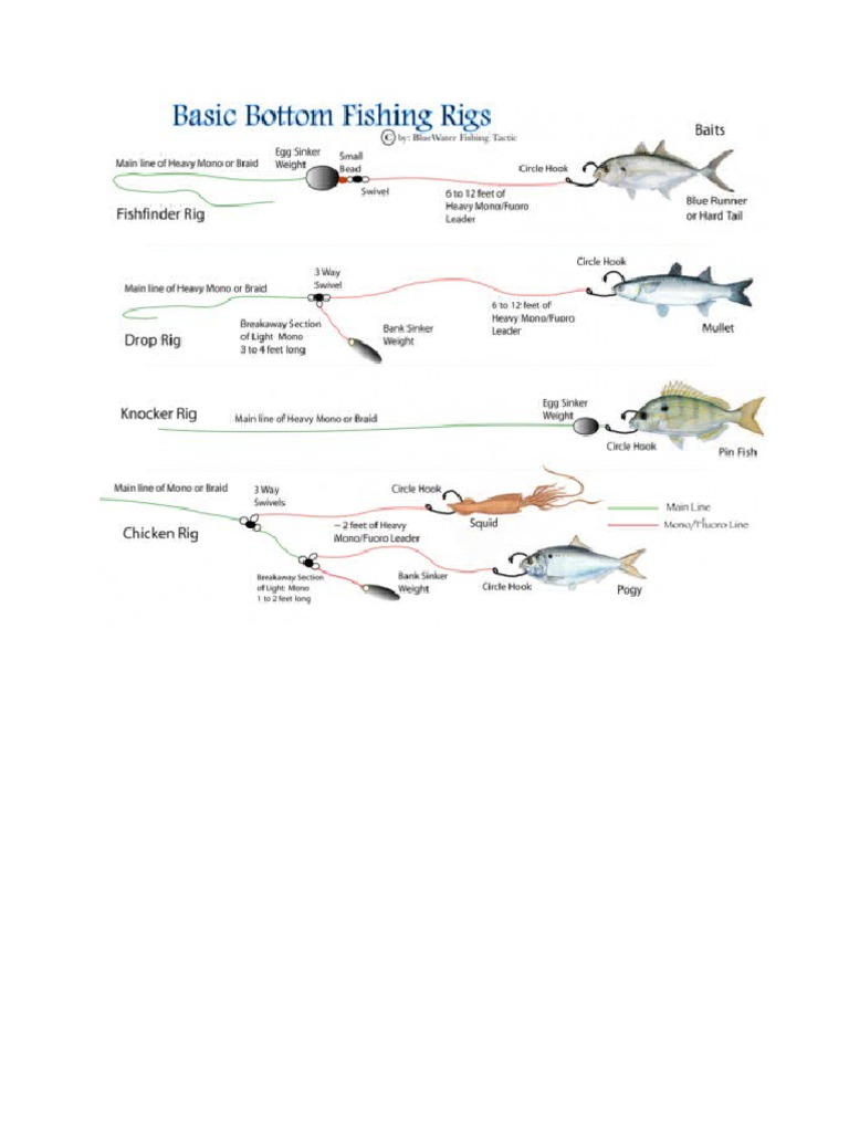 Basic Bottom Fishing Rig | PDF