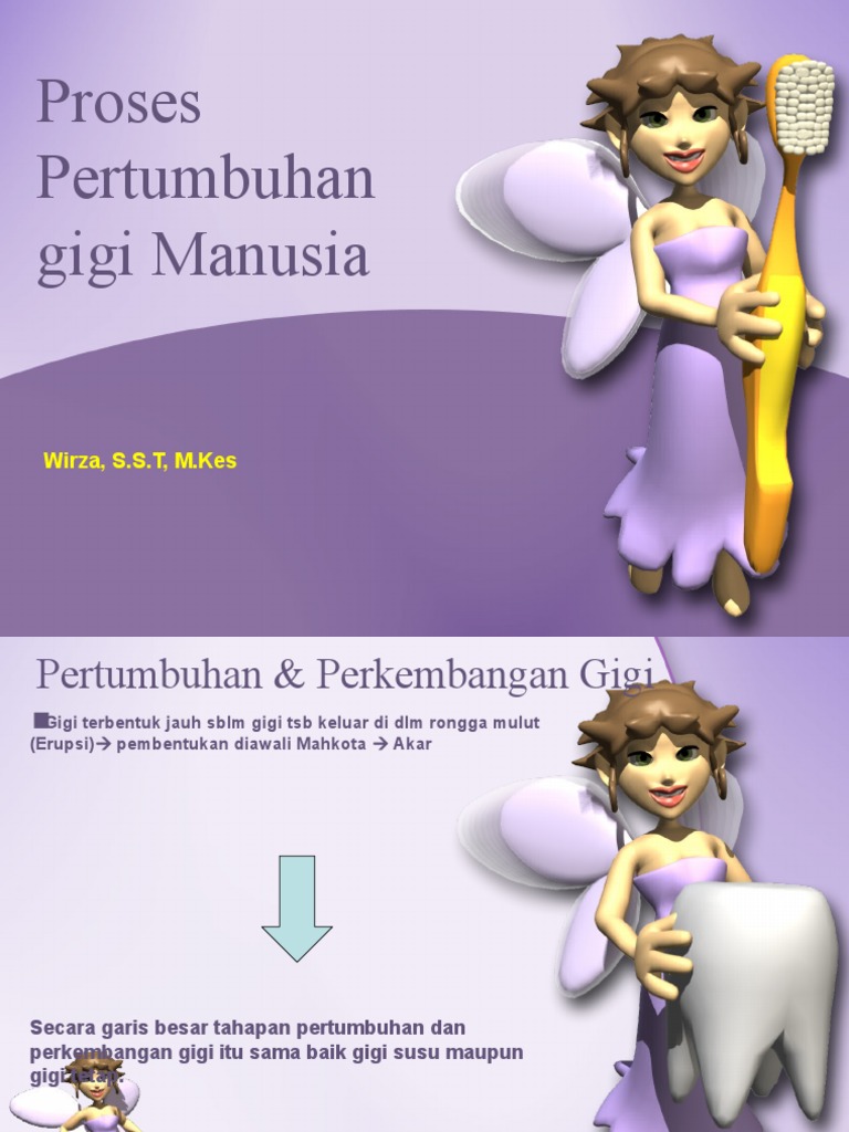 Proses - Pertumbuhan - Gigi | PDF