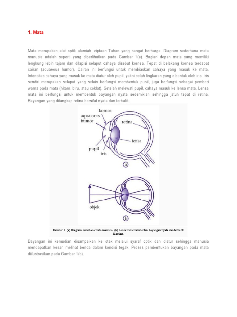 Mata Dan Kacamata Ala Optik Fisika | PDF