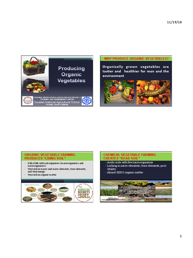 Produce Organic Vegetables Updated | PDF | Crop Rotation | Vegetables