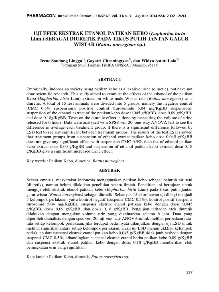 Diuretik Patikan Kebo | PDF