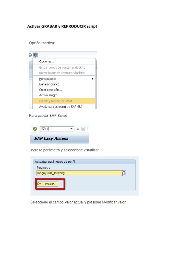 Activar GRABAR y REPRODUCIR Script SAP | PDF | Informática