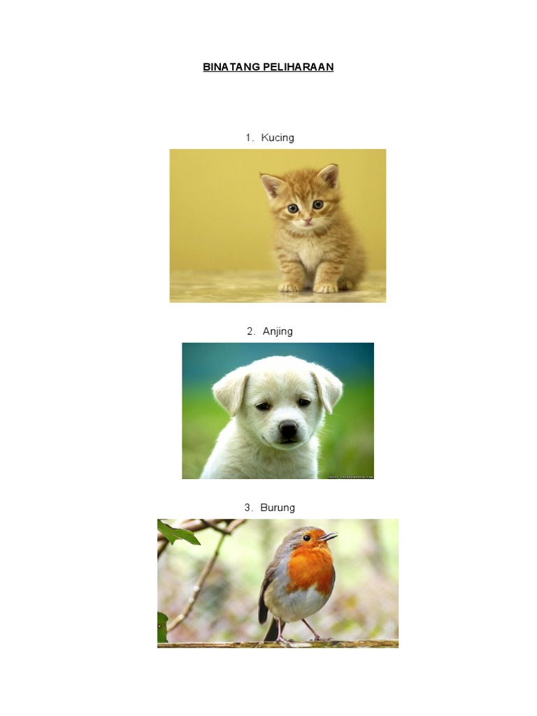 Binatang Peliharaan | PDF