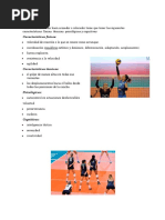Reglas Basicas Del Handball | PDF | Deportes y actividades al aire libre