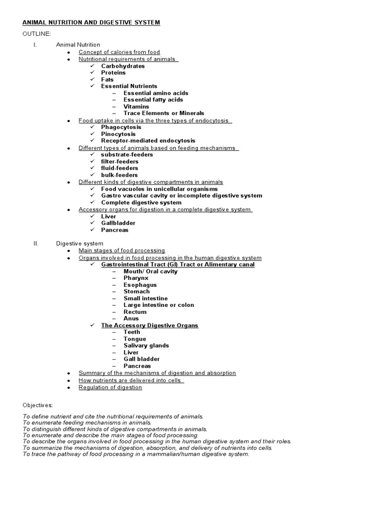 Animal Nutrition and Digestive System | PDF | Digestion | Human ...