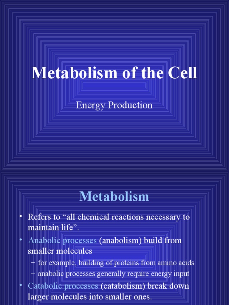 Metabolism of The Cell: Energy Production | PDF | Adenosine ...
