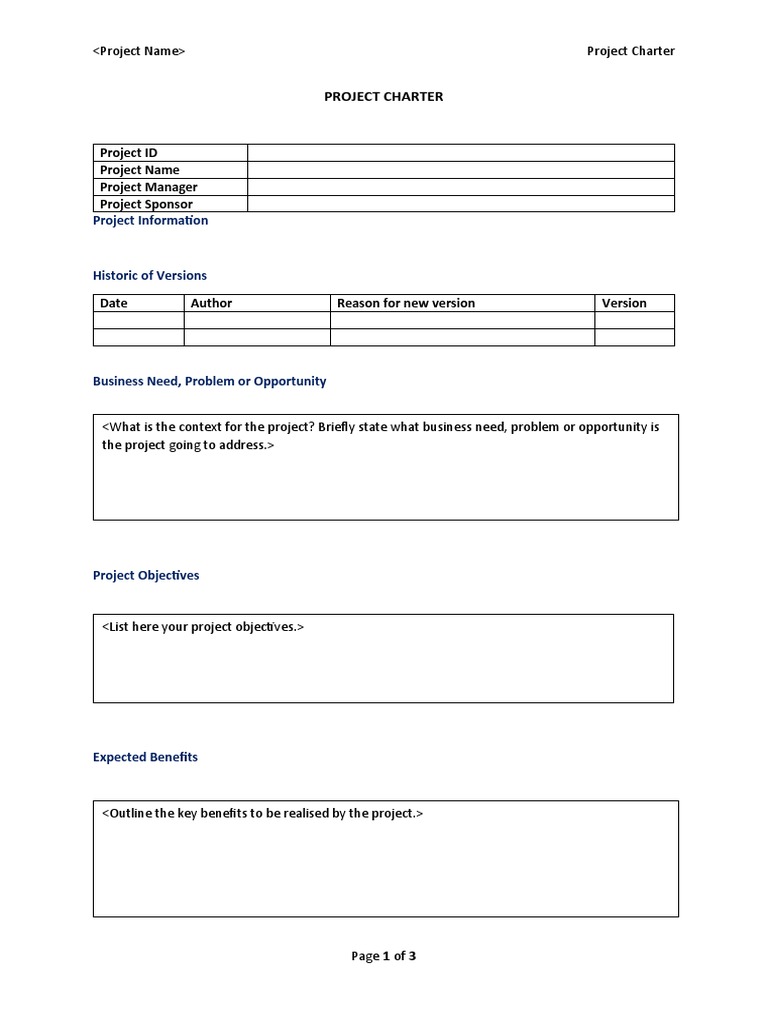 Project Charter Word Template | PDF | Economies | Business