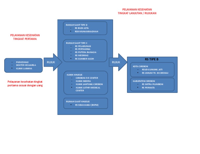 Alur Rujukan Berjenjang | PDF