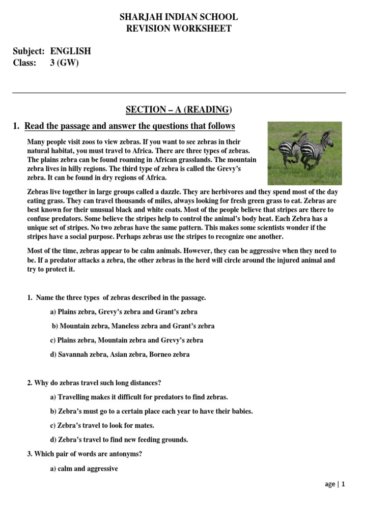 English Revision Worksheet | PDF | Zebra