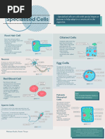 KS3 Science Revision Worksheets Cells | PDF | Vacuole | Cell (Biology)