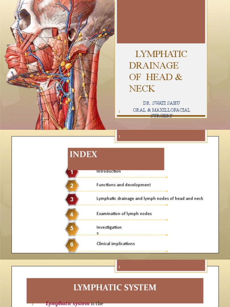 Lymphatic Drainage of Head | PDF | Lymphatic System | Lymph
