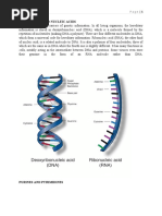 8th Grade Science-Genetics and Heredity | PDF | Rna | Gene