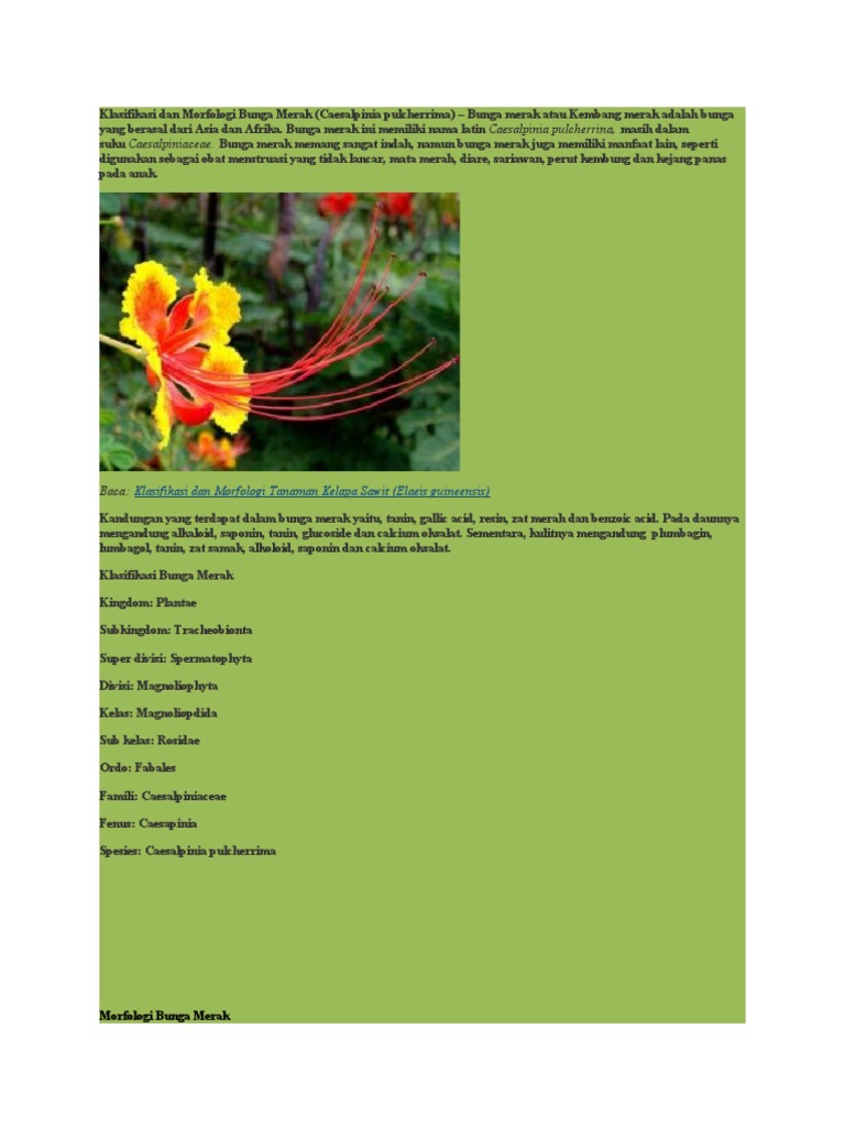 Klasifikasi Dan Morfologi Bunga Merak | PDF