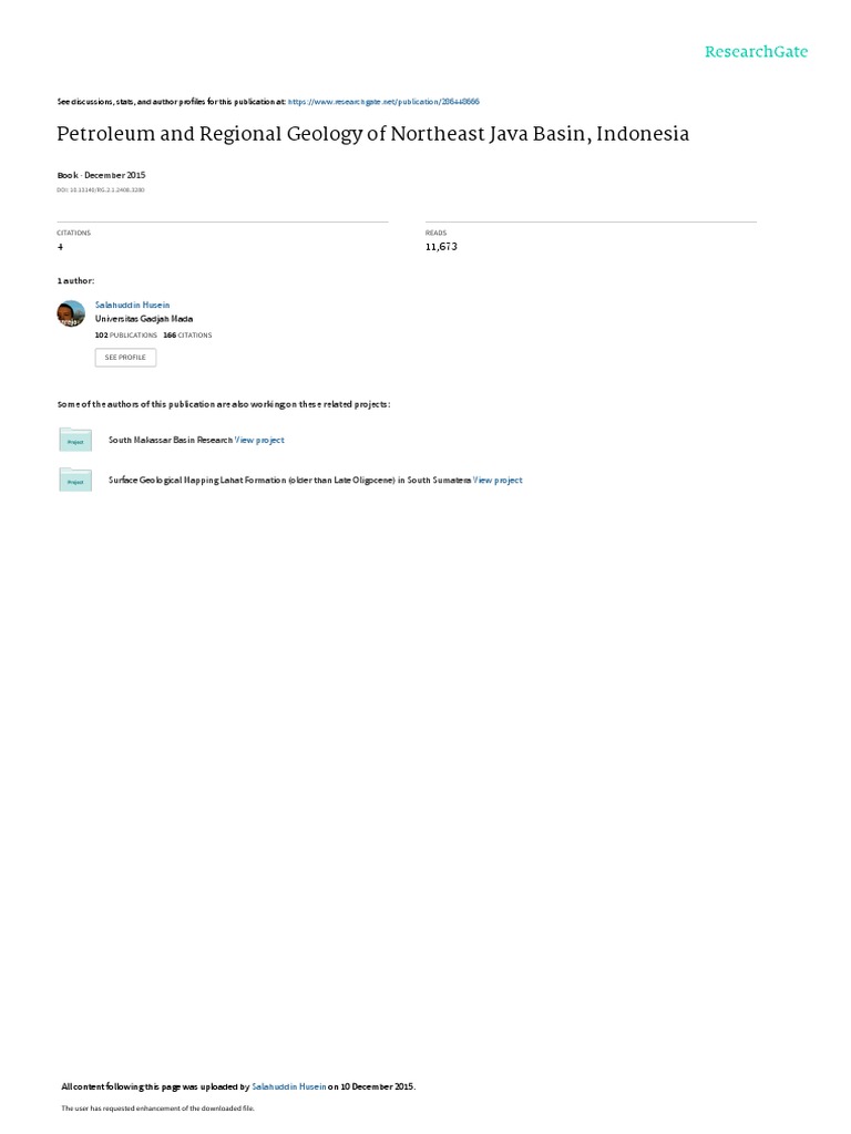 Petroleum and Regional Geology of Northeast Java Basin, Indonesia | PDF ...