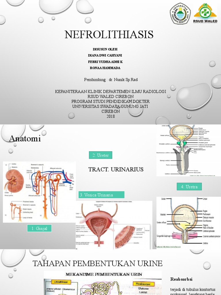 Radiologi Nefrolitiasis | PDF