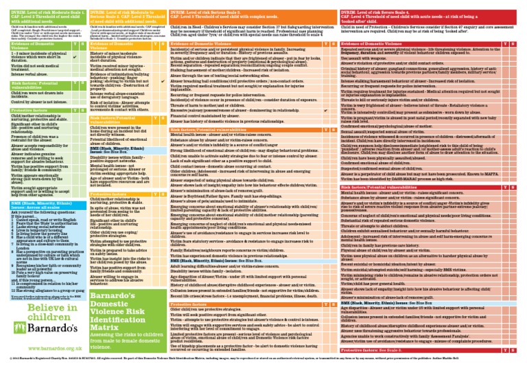 Barnardos Domestic Violence Risk Identification Matrix-2 | PDF | Domestic Violence | Child Abuse