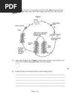 Protein Synthesis Race Game Guide | PDF | Translation (Biology ...