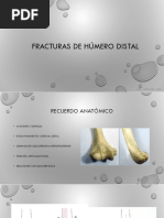 Anatomía y Fracturas del Húmero Distal | PDF | Codo | Articulación