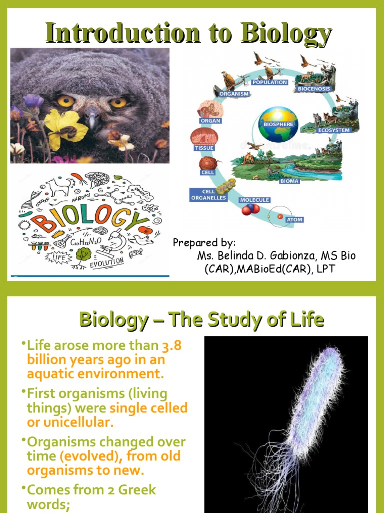 Chapter1 Biology | Download Free PDF | Biology | Experiment