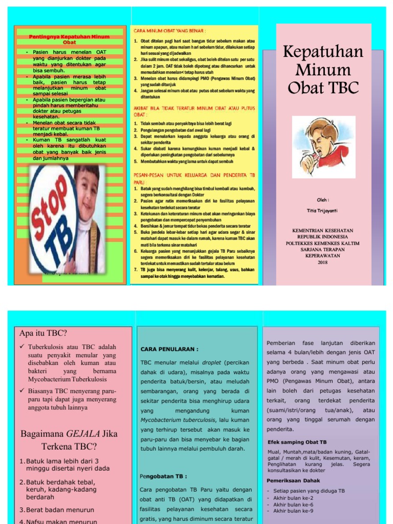 PDF Leaflet Edukasi Kepatuhan Minum Obat TB Titis Trijayanti tk3 DD | PDF