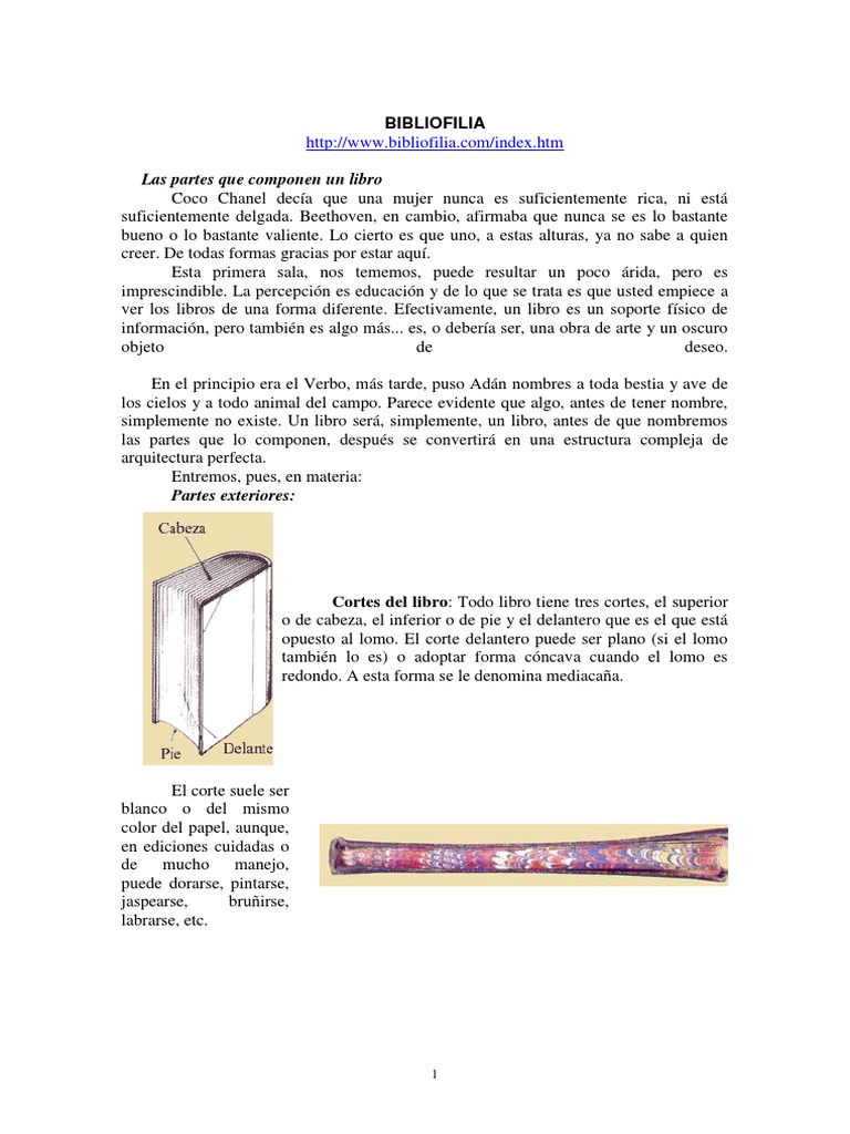 Las partes que componen un libro: una guía detallada de la estructura ...