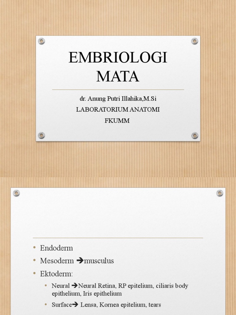 2020 Embriologi Dan Anatomi Mata | PDF