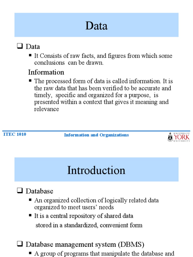Data: ITEC 1010 Information and Organizations | PDF | Databases ...