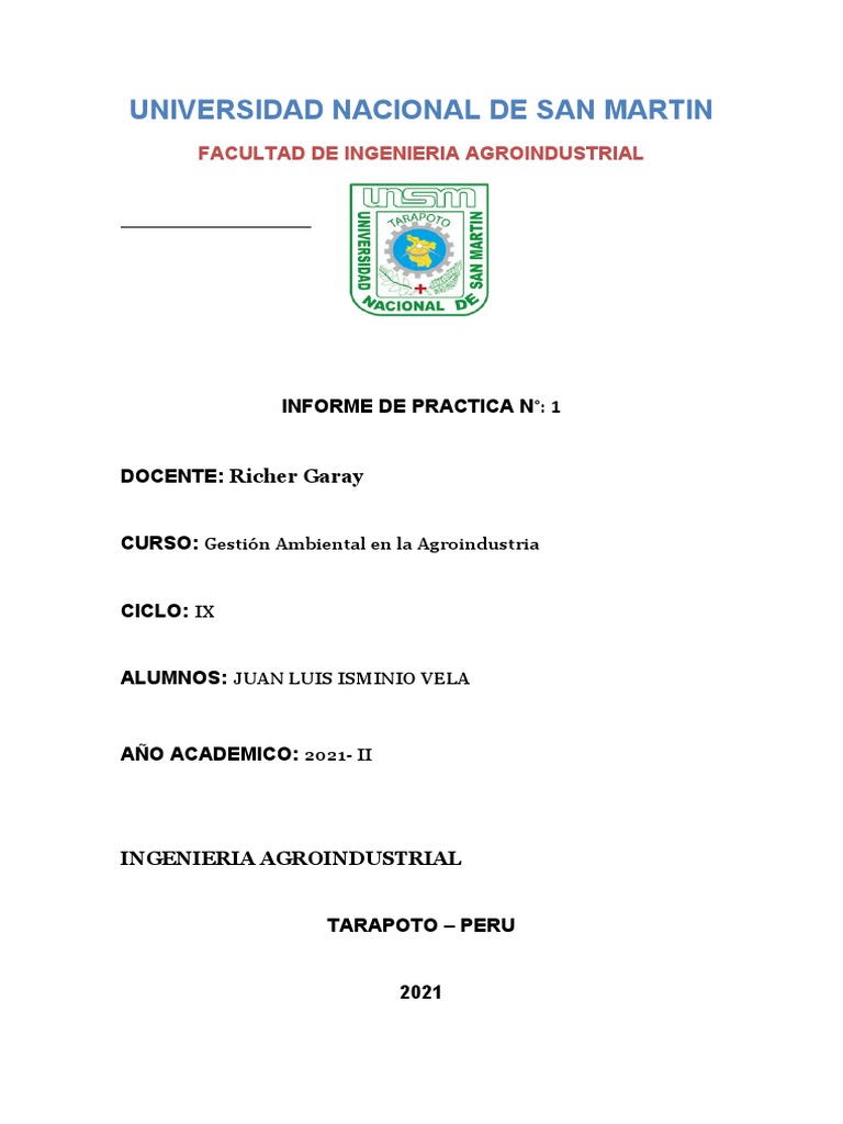 INFORME de PRACTICA (Bio Carbón) | PDF | Química | Carbón