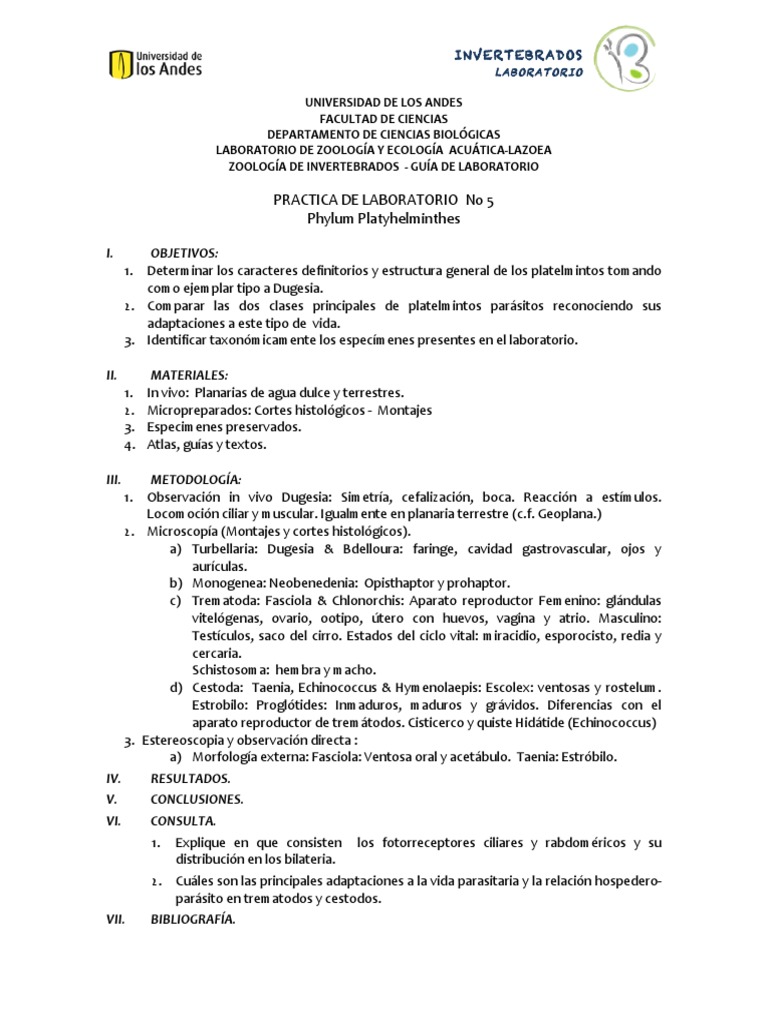 Guía Lab: Platelmintos y Adaptaciones | PDF | Protostomas | Biología