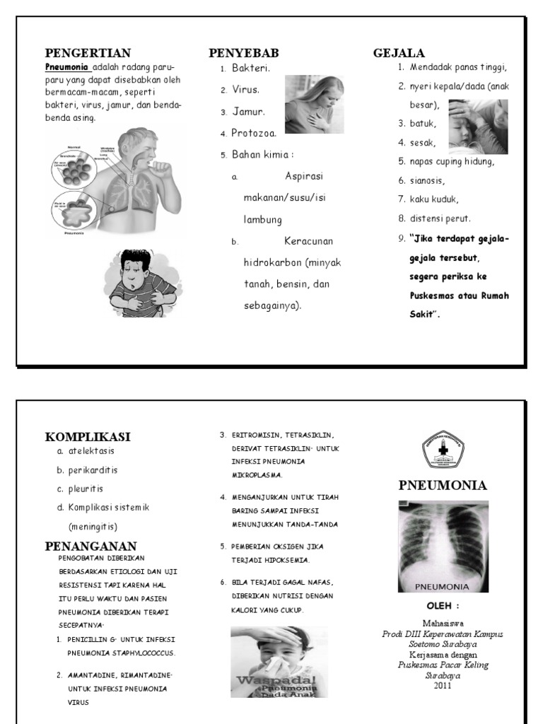 Leaflet Pneumonia | PDF