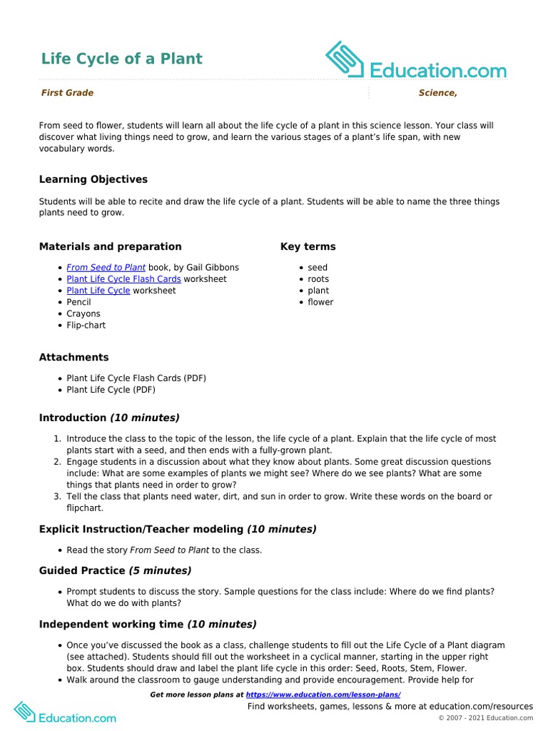 Life Cycle of A Plant: Learning Objectives | PDF | Lesson Plan | Plants