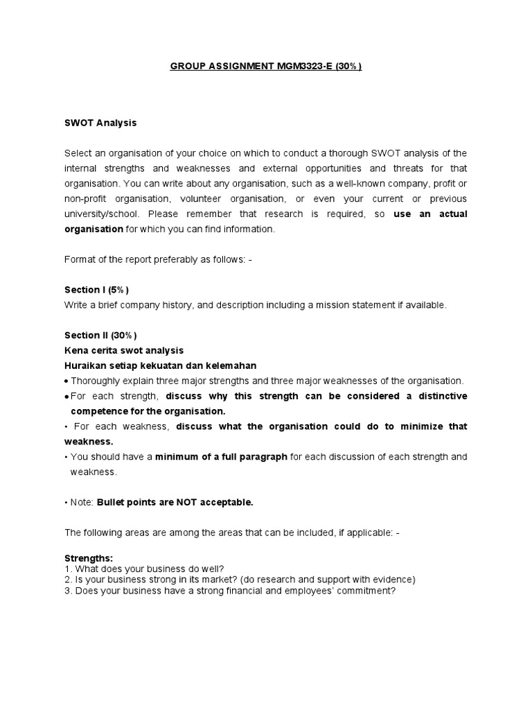 Main Assignment Mgm3323-E | PDF | Swot Analysis