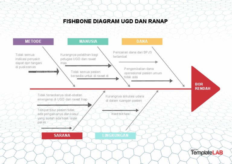 Fishbone Diagram UGD RANAP | PDF