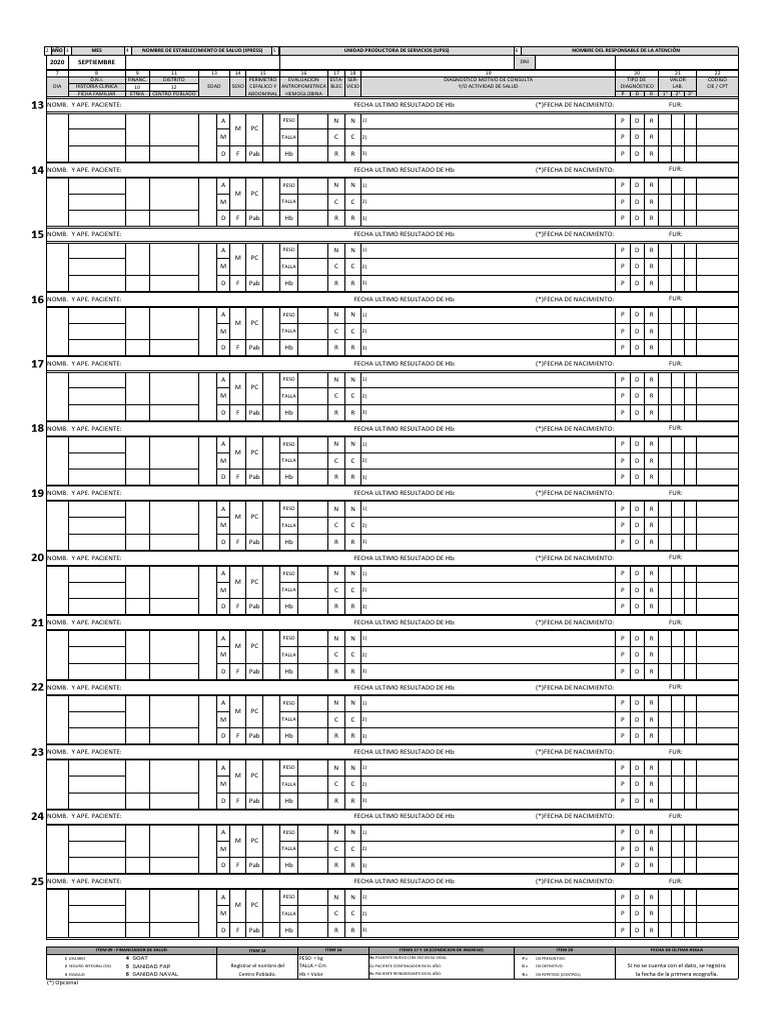 Formato HIS para 2020 - Lado B | PDF | Ciencias de la Salud | Medicina