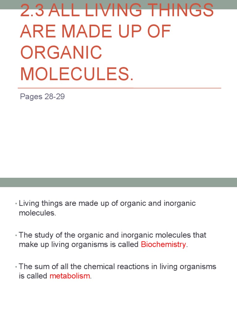 Organic Molecules in Living Organisms | PDF | Carbohydrates | Organic ...