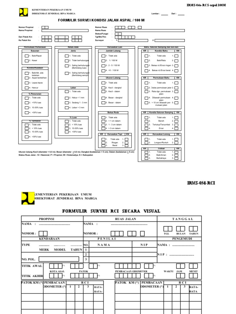 Form Survey RCS 100M | PDF