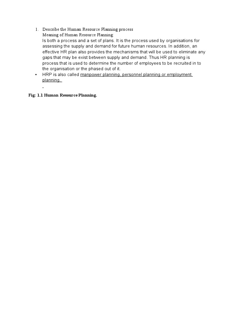 Describe The Human Resource Planning Process | PDF | Human Resources ...