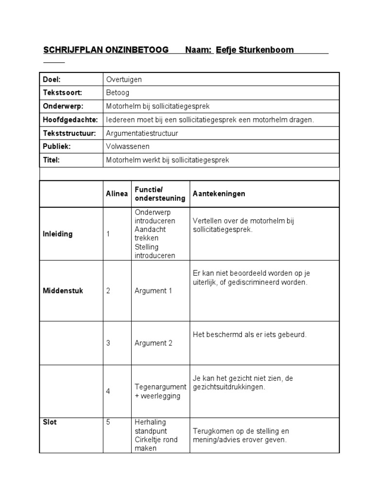 Schrijfplan Onzinbetoog | PDF