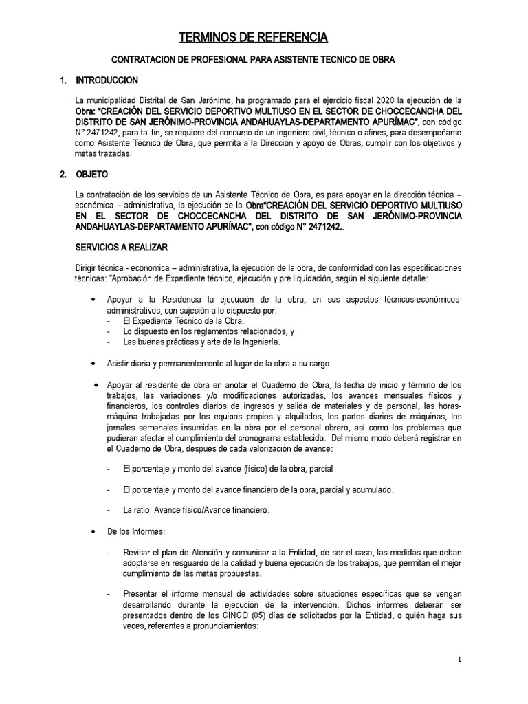 TDR ASISTENTE Tecnico | PDF | Ingeniería