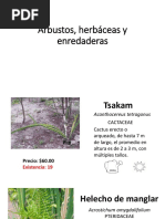 Ficha de Vegetacion | PDF | Arboles | Hoja