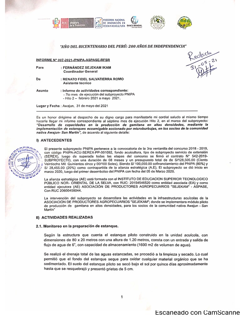 INFORME DE ASISTENTE TECNICO - 7mo Mes | PDF