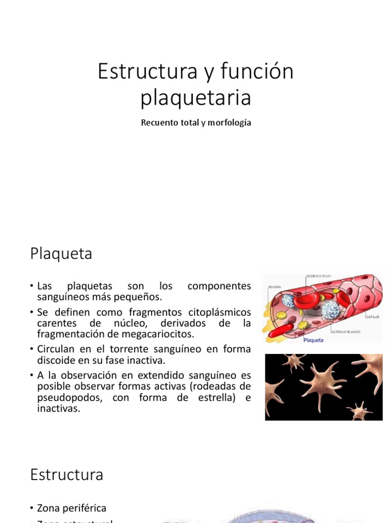 Estructura Funcion Plaquetaria y Recuento | PDF | Plaqueta | Especialidades Medicas