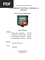 Clasificación de Los Suelos Según USDA | PDF | Suelo | Arcilla