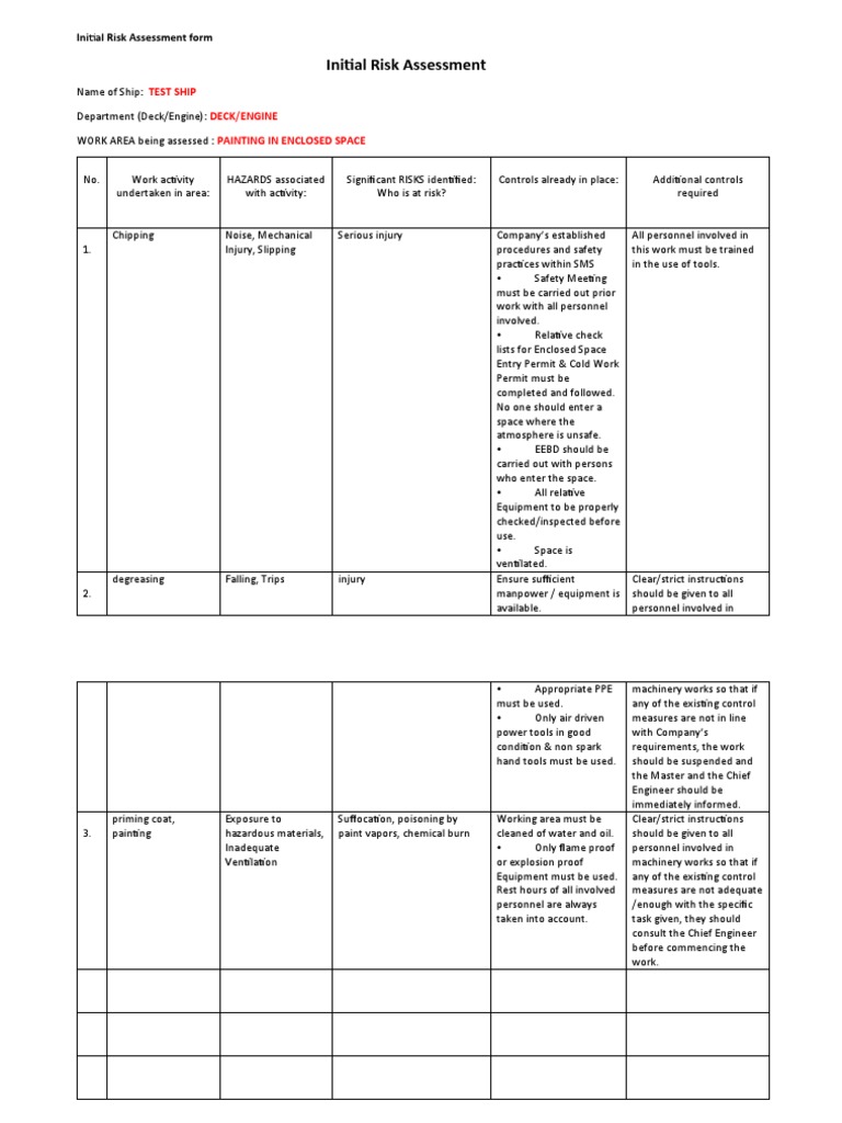 Initial Risk Assessment Form | PDF | Risk Assessment | Personal ...