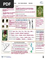 Biology IA Format and Structure (2025 Updated) - Clastify | PDF ...