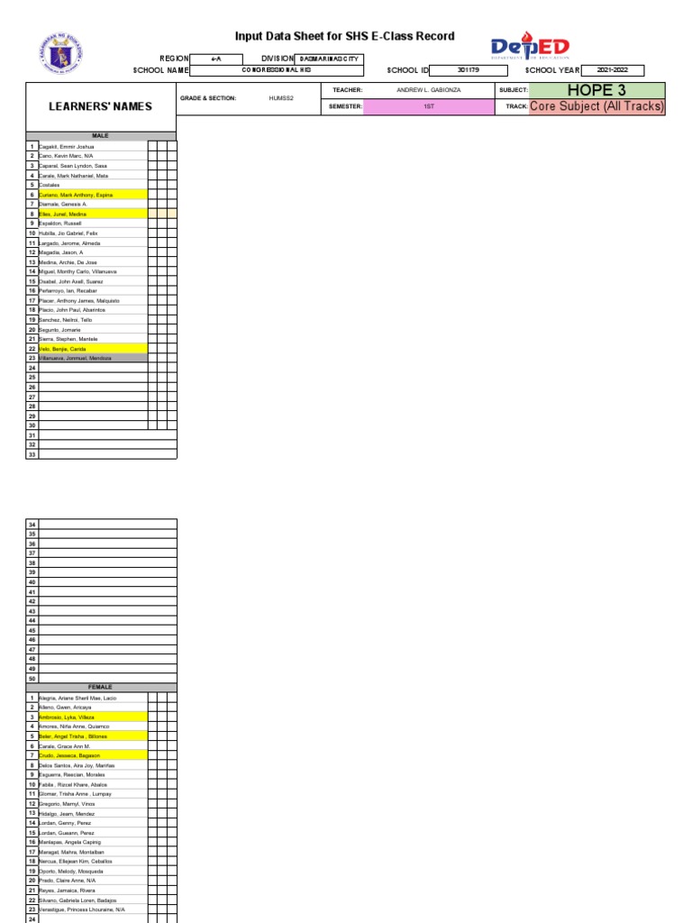Hope 3: Input Data Sheet For SHS E-Class Record | PDF